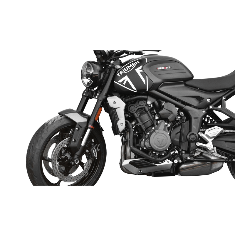 Triumph Trident 660 Modell 2021-2022 / Bugspoiler Top Block Racing New ...